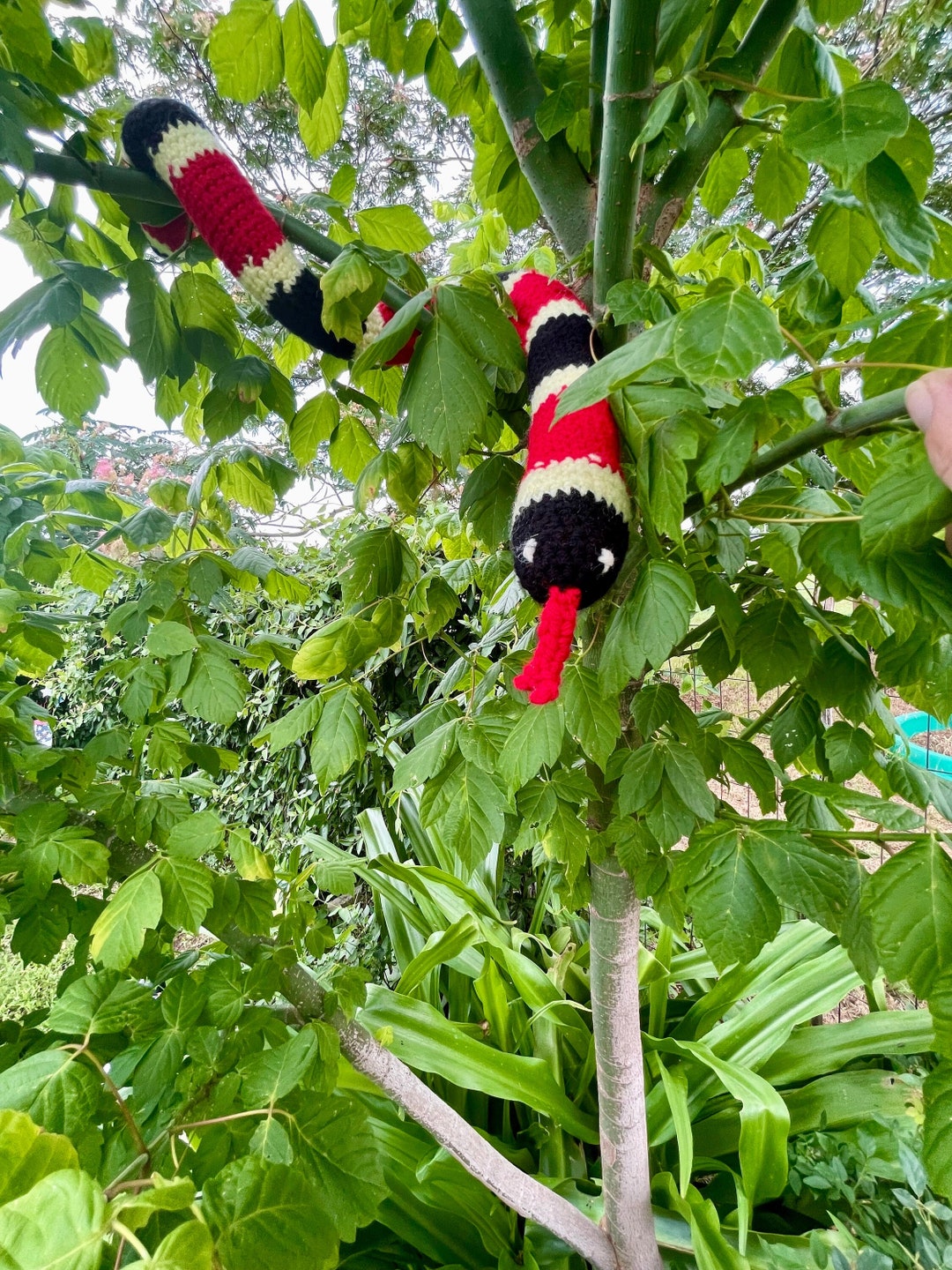 Crochet Coral Snake Plushie: Red, Yellow, and Black Stuffed Animal Gift ...