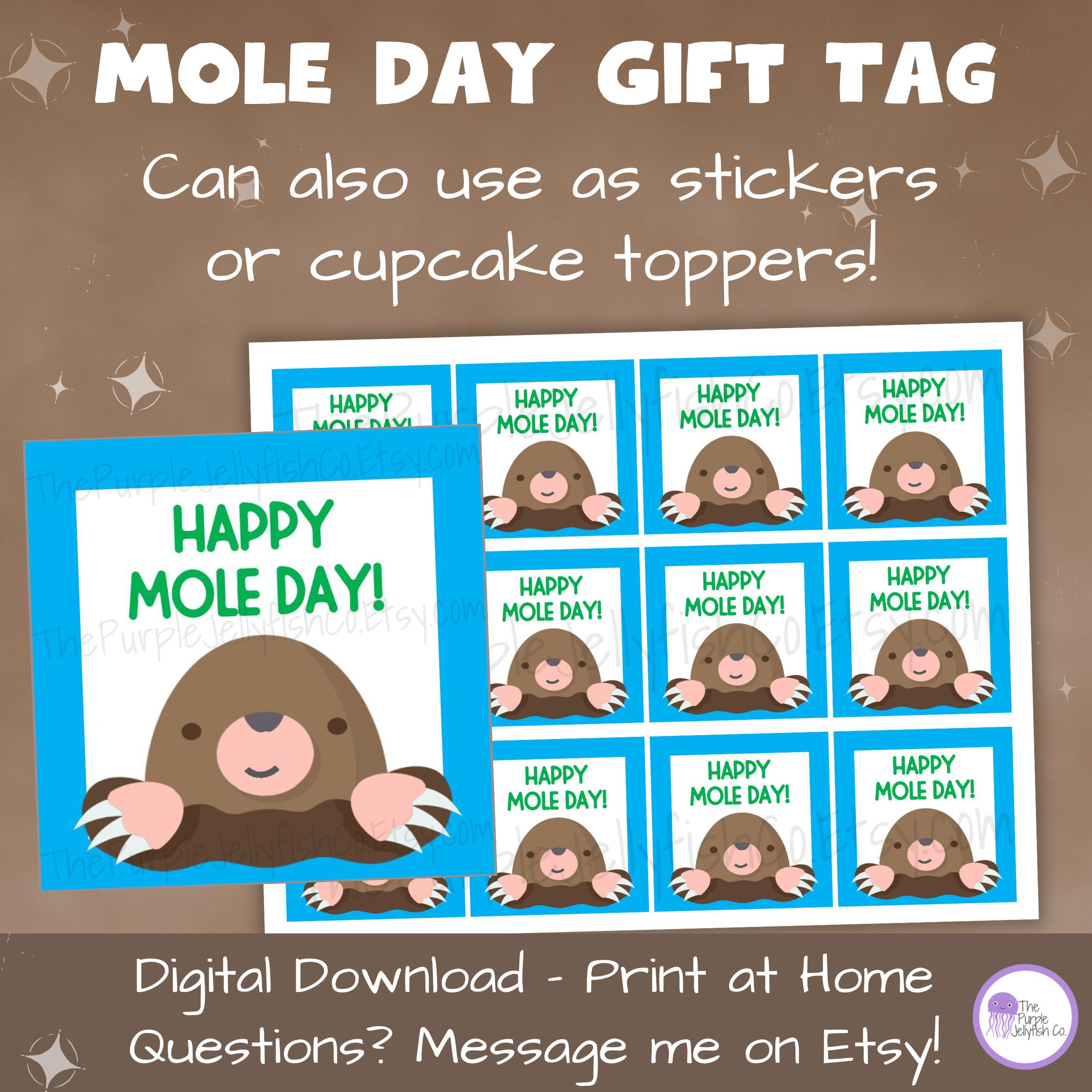 Mole Day Gift Tags Printable, Chemistry Teacher Gift Idea, Science ...