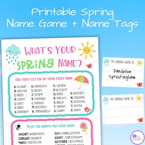 What's Your Spring Name Game Sign + Name Tags, Spring Game Printable ...