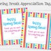 Spring Break Gift Tags, Spring Break Appreciation Tags, Teacher ...
