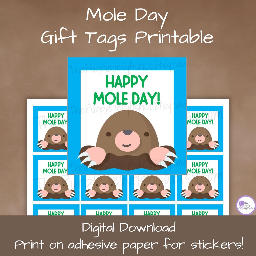 Mole Day Gift Tags Printable, Chemistry Teacher Gift Idea, Science ...
