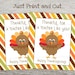 Thankful for Teacher Gift Tag, Thanksgiving Teacher Tag, Teacher ...