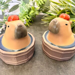 Painted Concrete Capybara Figurine, Cute Desk Paperweight - Etsy