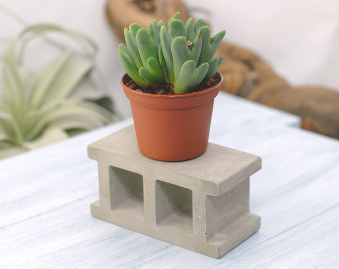 Concrete Display Stand - Mini Cinder Block | Display Stand | Cinder ...