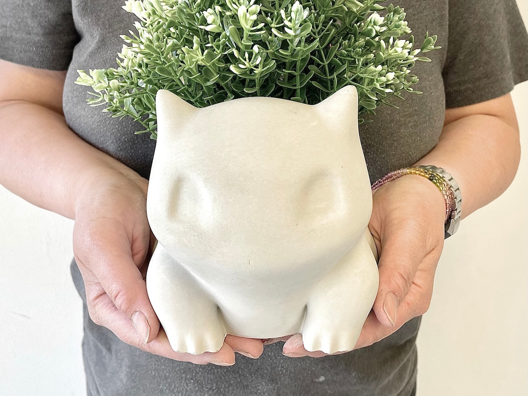 Bulba Creature Concrete Succulent Planter - LARGE, Cute Succulent ...