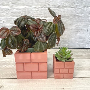 Beton Groß Mario Ziegel Sukkulenten Pflanzer Hochzeit Gastgeschenke ...