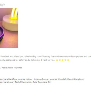 Adorable Capybara Backflow Incense Burner - Relaxation Essential for ...
