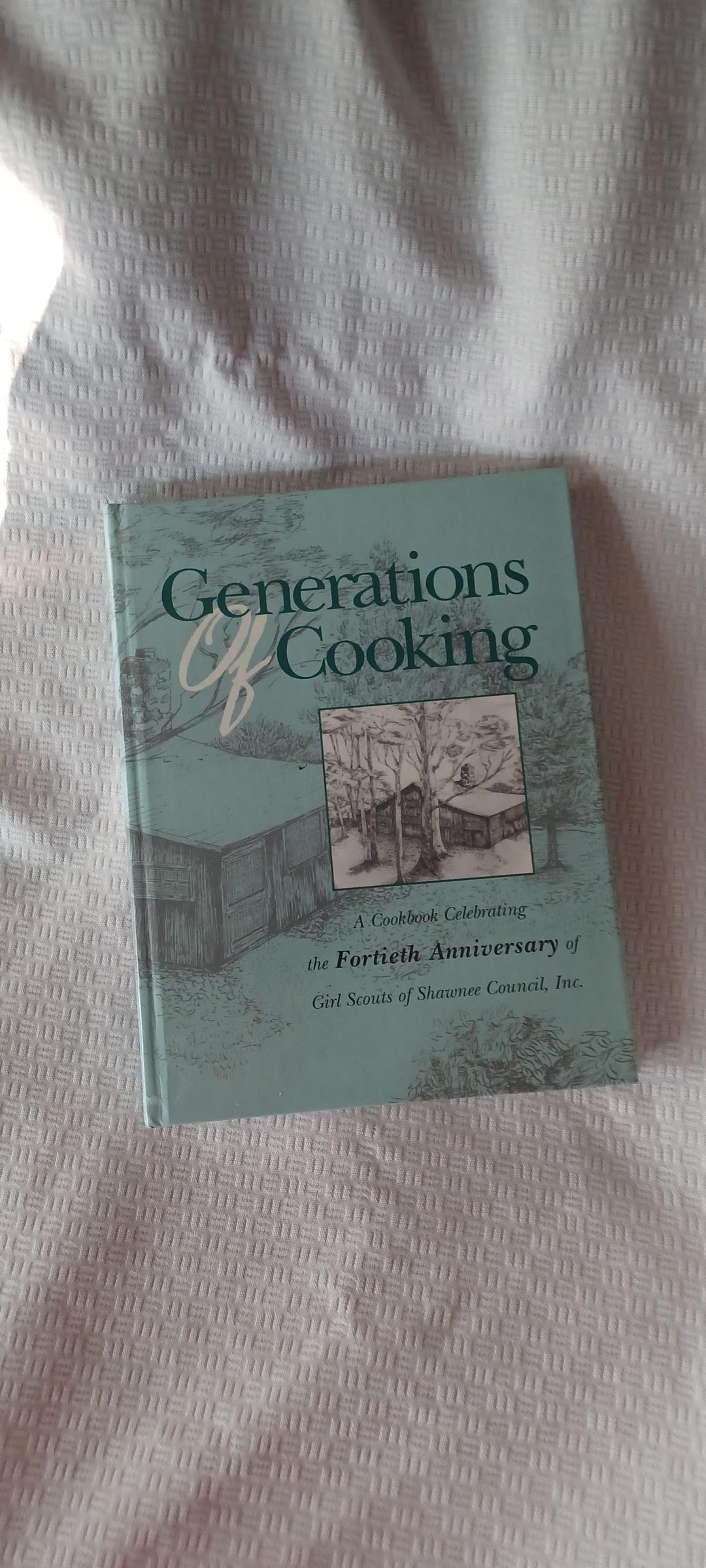 Girl Scout Cookbook- Generations of Cooking -40th Anniversary of Girl ...