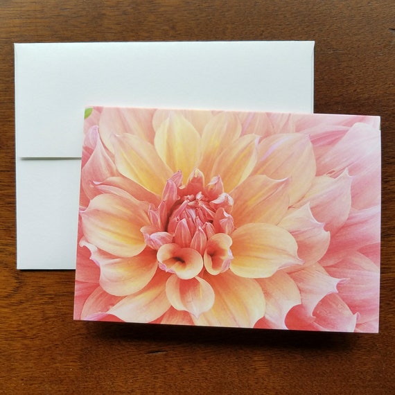Set of Six Dahlia Greeting Cards | Etsy