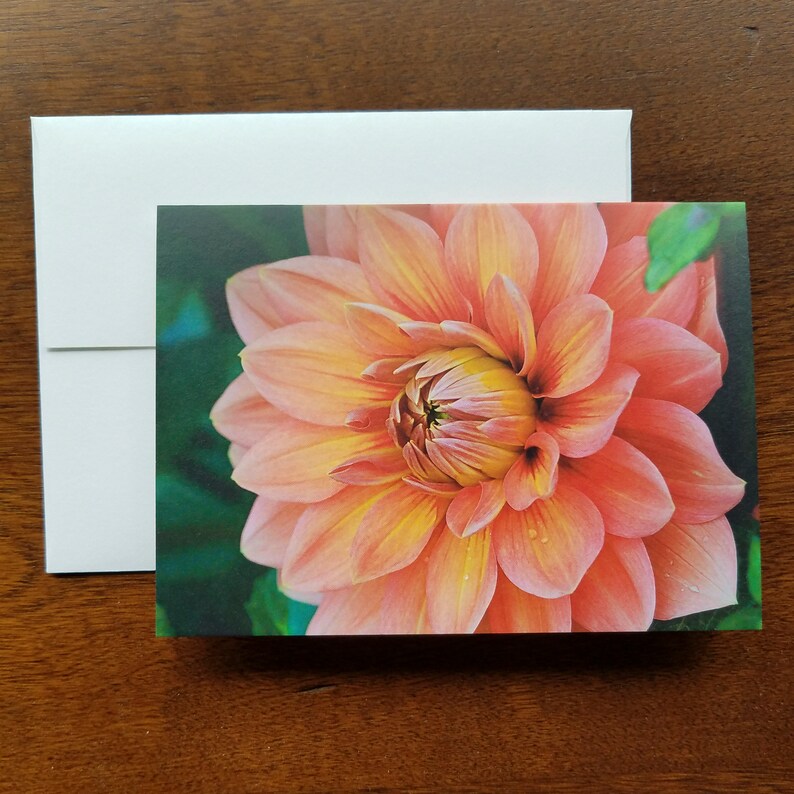 Set of Six Dahlia Greeting Cards - Etsy