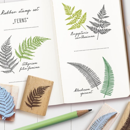 Rubber Stamp HAWTHORN Botanical Stamp Plant Stamp Twig With | Etsy