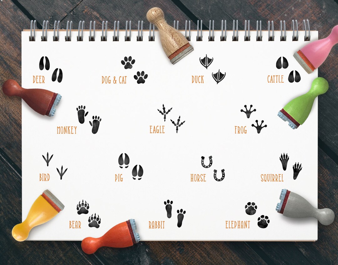 14 Mini Rubber Stamps ANIMAL TRACKS Ø 12 Mm / 0.47 Inch - Etsy
