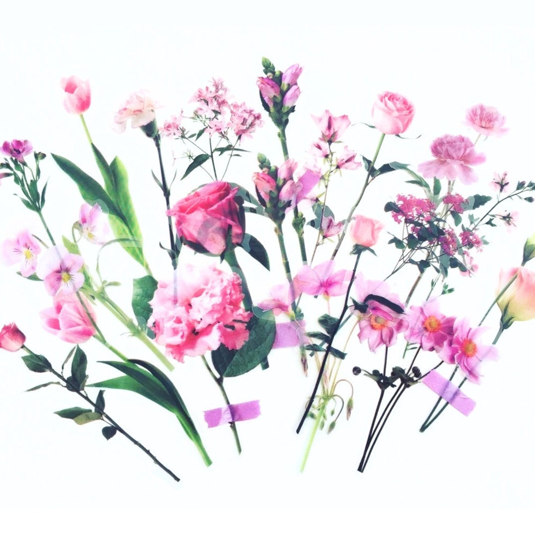 40 Pink Flower Stickers - Roses, Tulips, Carnations - Flake Stickers ...