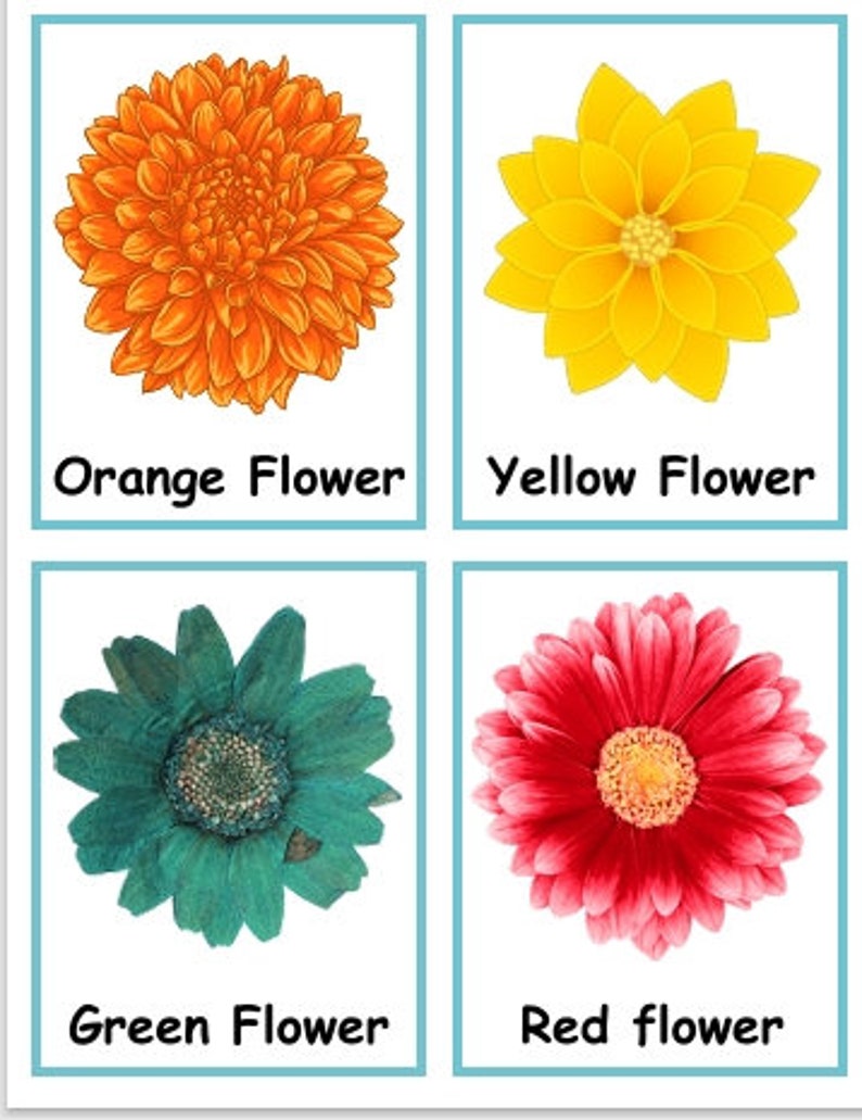 Kindergarten Genius 4,000 Printable Activity Pages Designed for ...