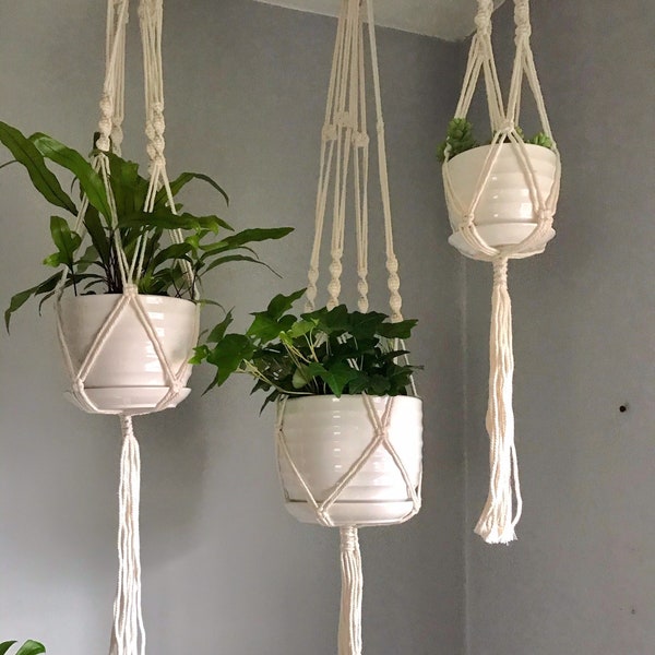 Hanging Planter Ceiling - Etsy