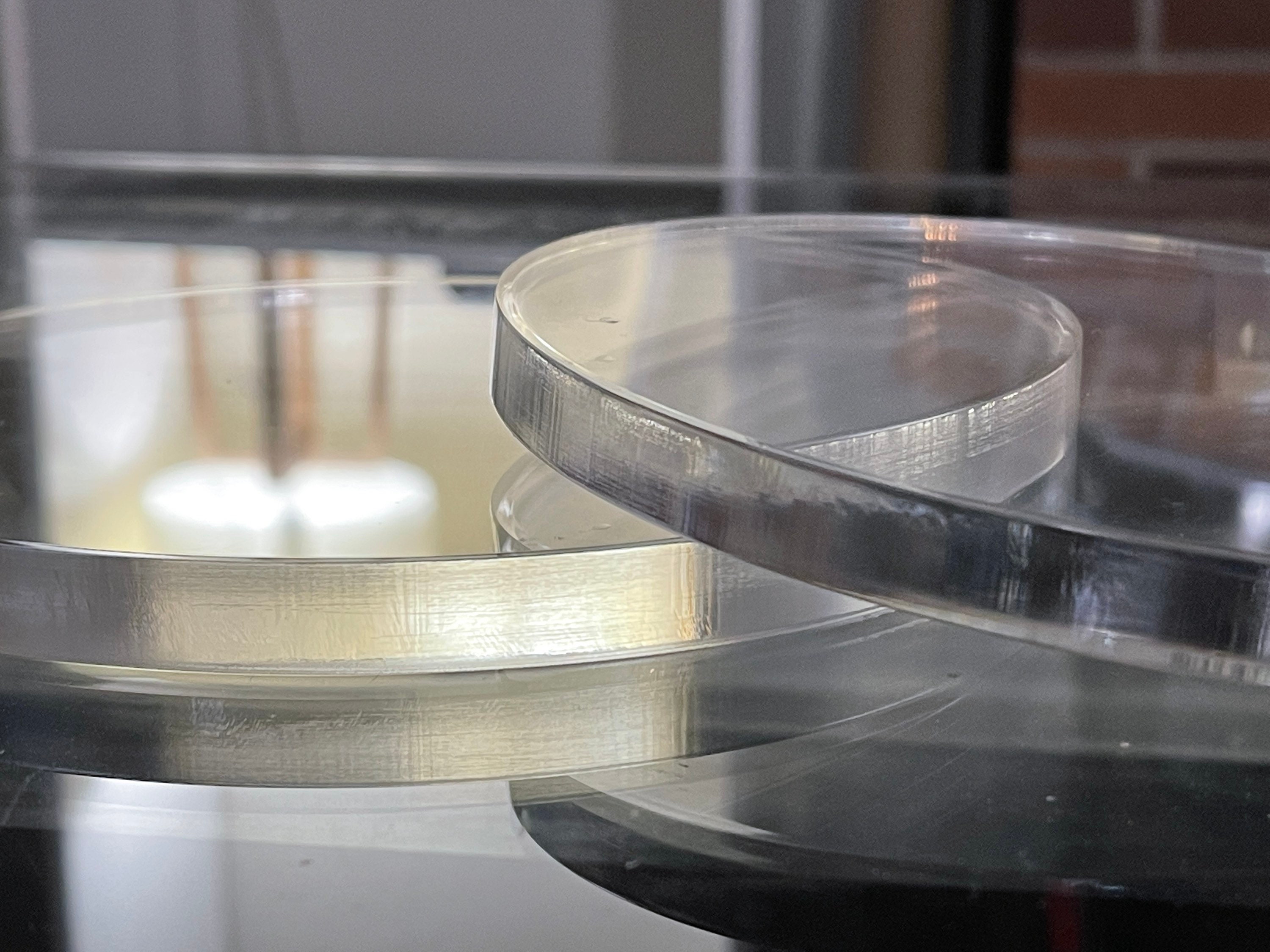 Minimalist Clear Acrylic Cake Base Laser Cut Acrylic Disc. - Etsy