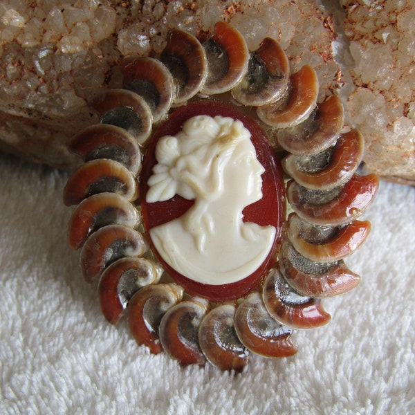 Shell Cameos - Etsy