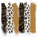 Black and Gold Leopard Background for Sublimation - Etsy