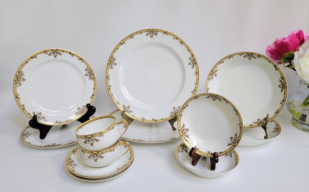 Antique Haviland Limoges France ~ 12 Piece Dinnerware (6 Pc. Place ...