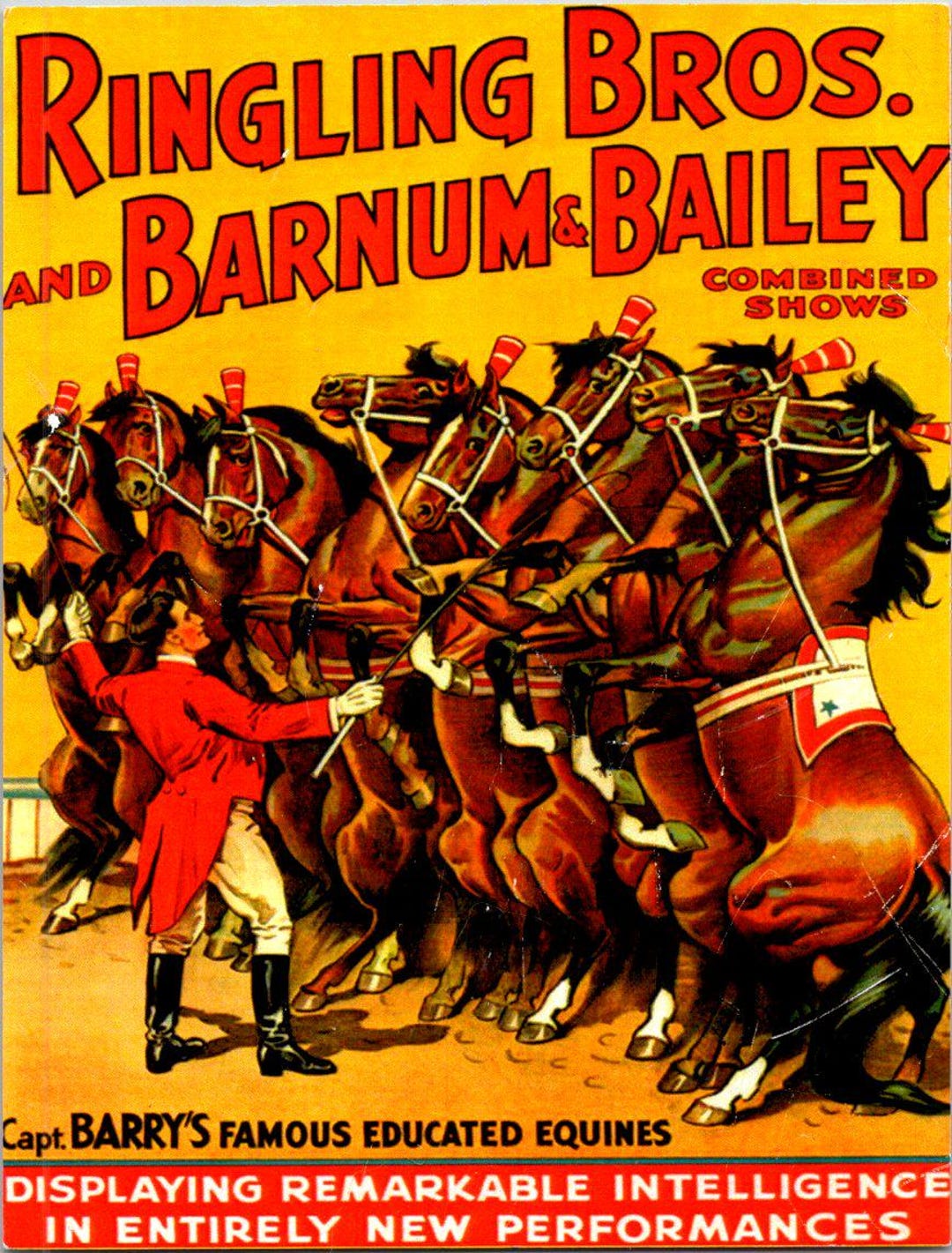 Ringling Bros and Barnum & Bailey Circus Postcard - Etsy