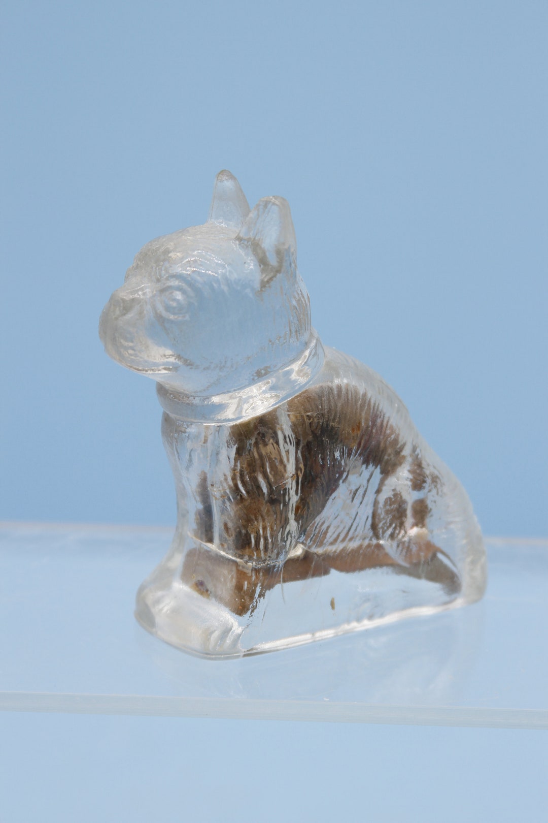 Vintage Glass French Bulldog Candy Container W/candy - Etsy