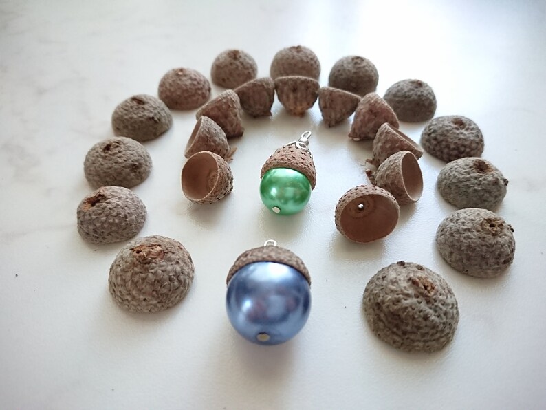 40pcs mixed size acorn caps with hole Real acorn hats | Etsy