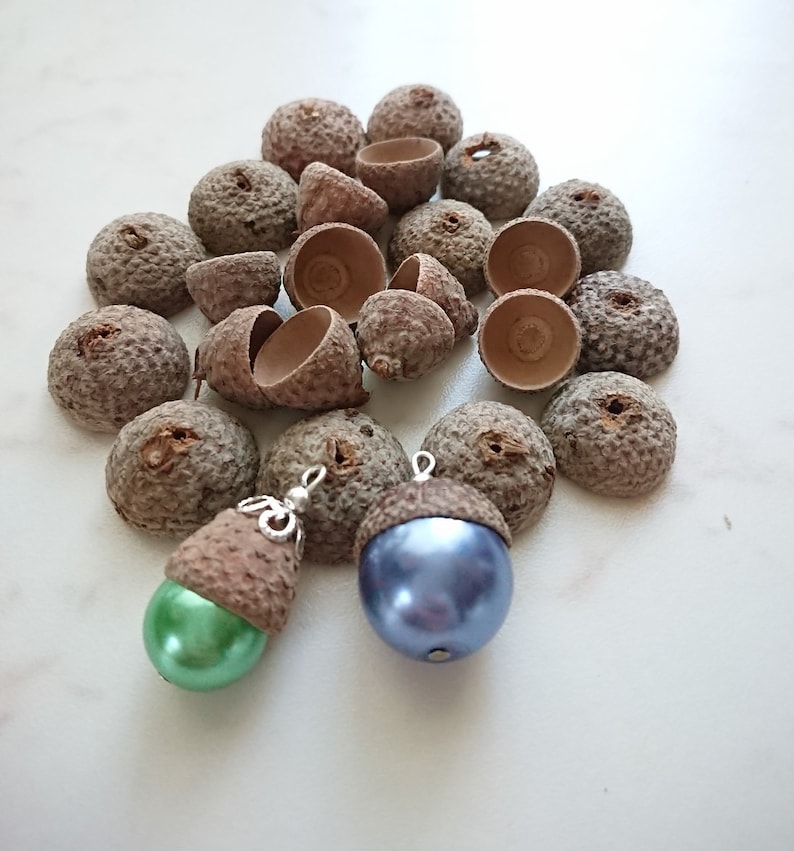 40pcs Mixed Size Acorn Caps With Hole, Real Acorn Hats, Natural Wooden ...