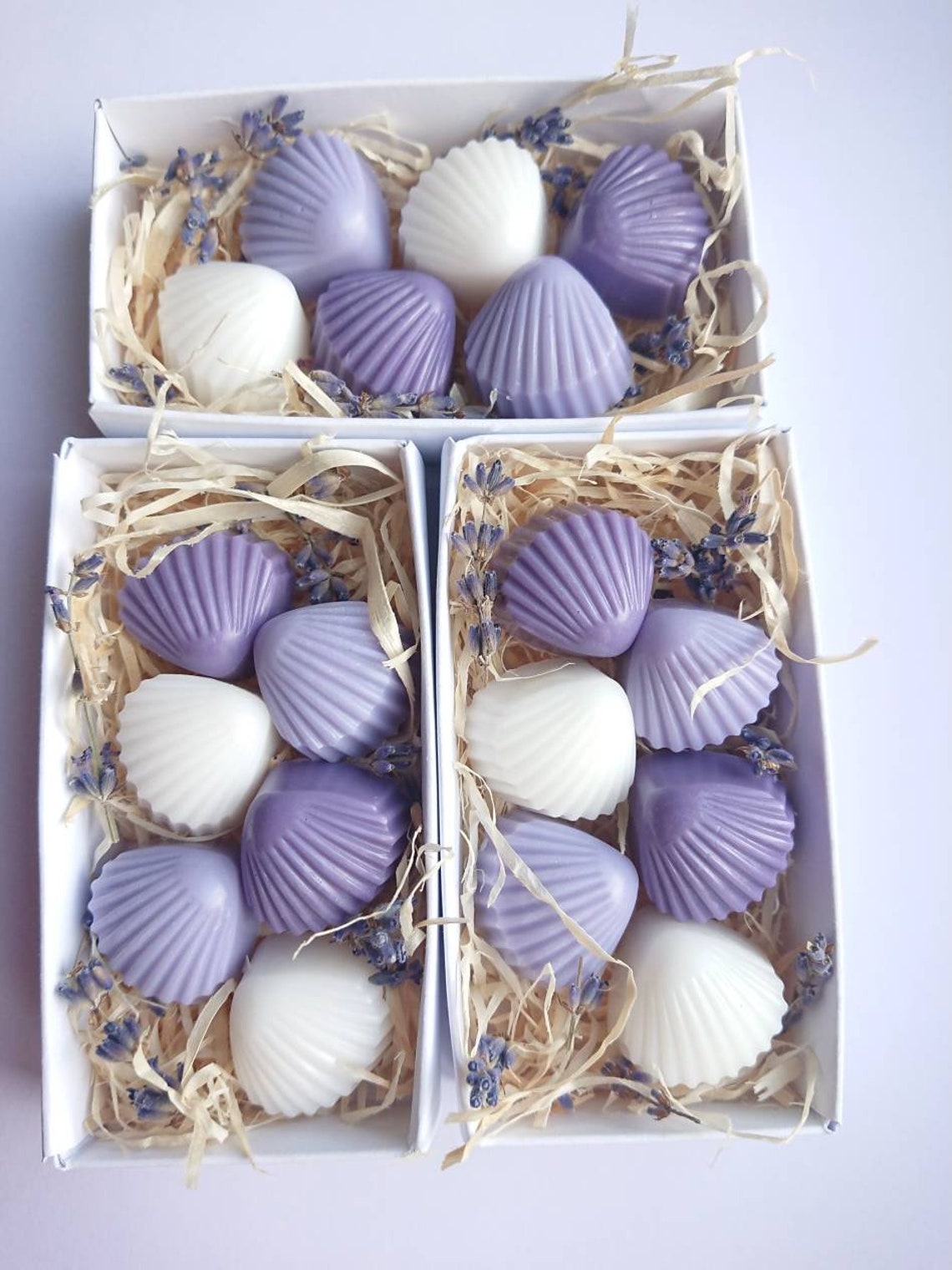 Sea Shells Soap Gift Set Purple Shades Soaps Lavender Soap - Etsy