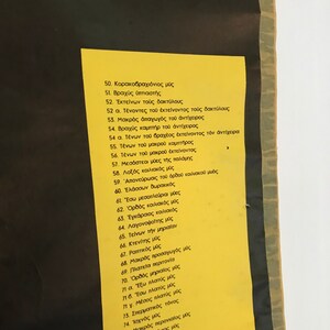 Vintage Human Body Anatomy - Greek Original Vintage Pull Down Anatomy ...