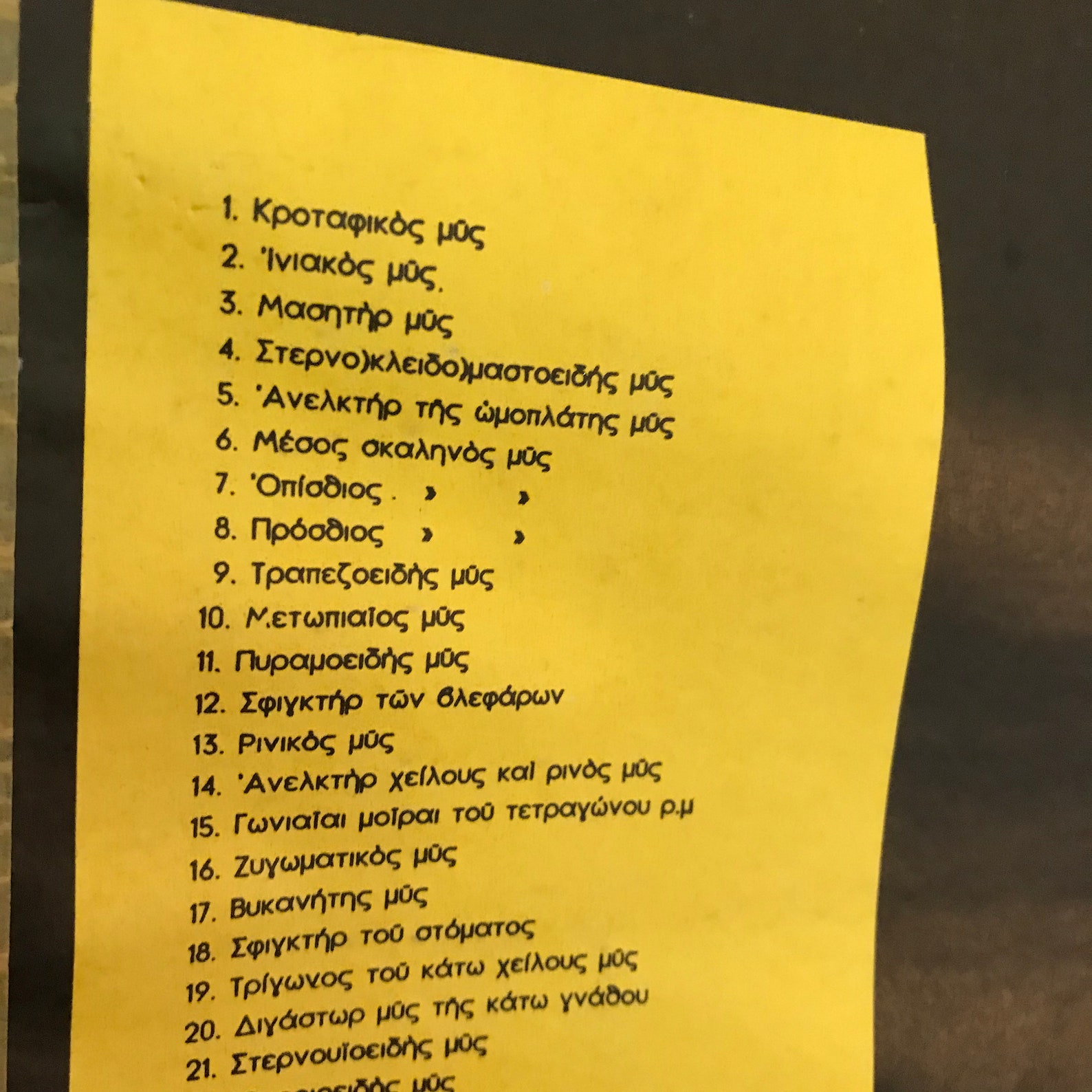 Vintage Human Body Anatomy Greek Original Vintage Pull Down - Etsy