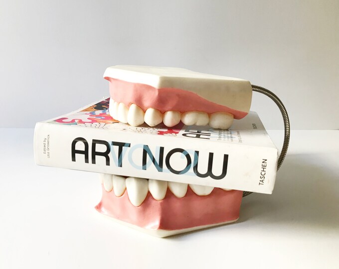 Vintage Enlarged Model Set of Teeth Plastic Dental Study Model ...