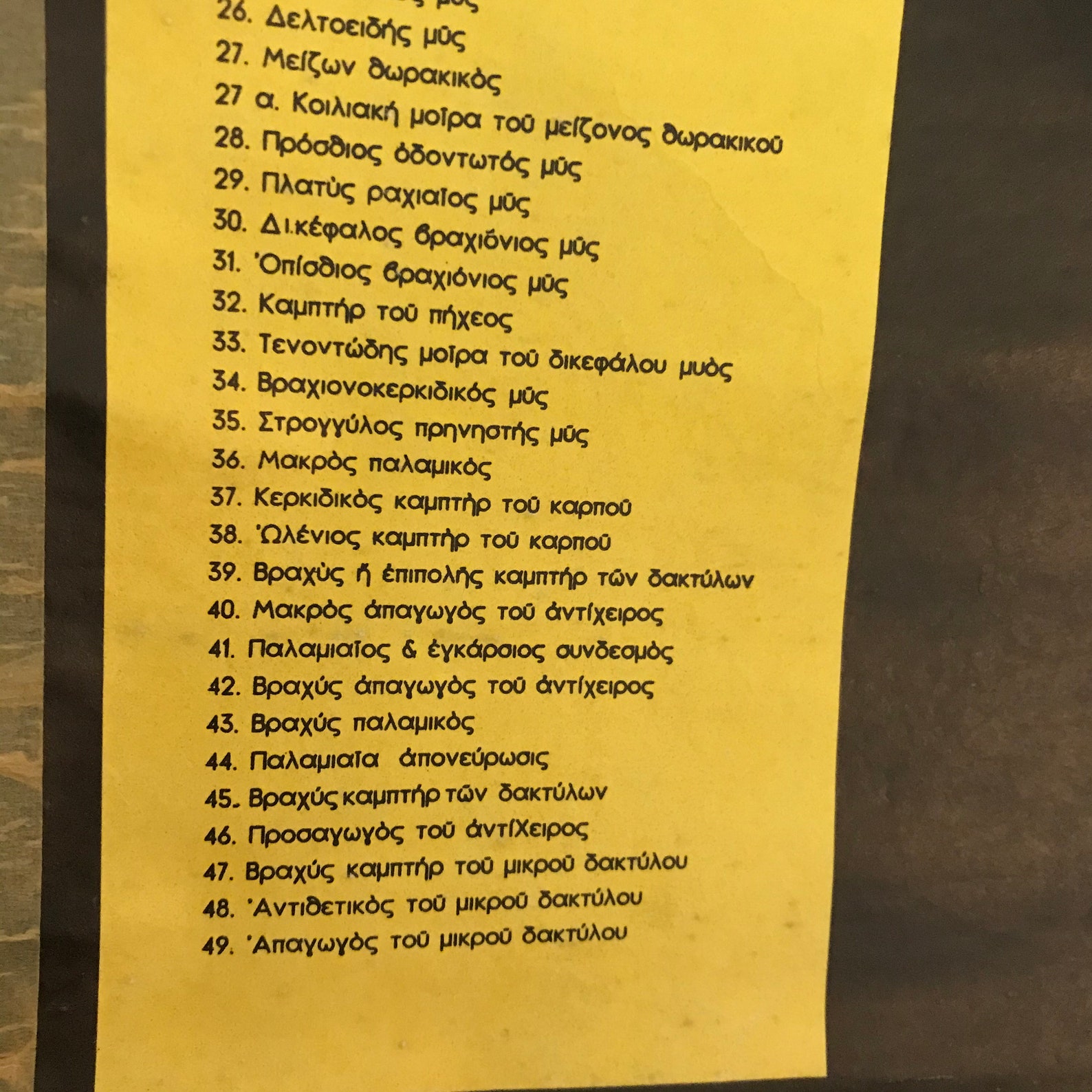 Vintage Human Body Anatomy Greek Original Vintage Pull Down | Etsy