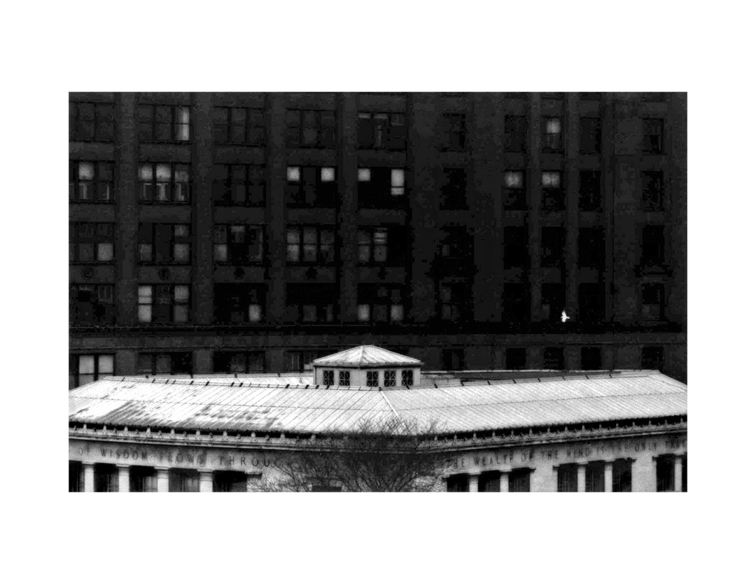 Detroit Public Library and Hudson's, 1998 - Etsy