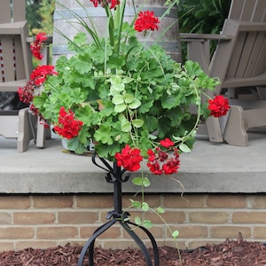 Ornamental Plant Stands - 3 Sizes - Etsy