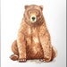 Grumpy Watercolor Bear Art Print~woodland Creatures Painting~rustic ...