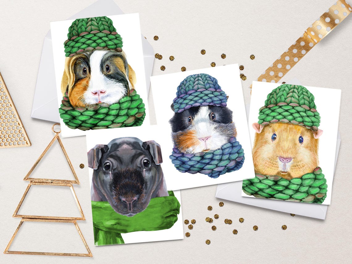Winter Guinea Pigs Mixed Note Card Set 8 Cards With Envelopes - Etsy