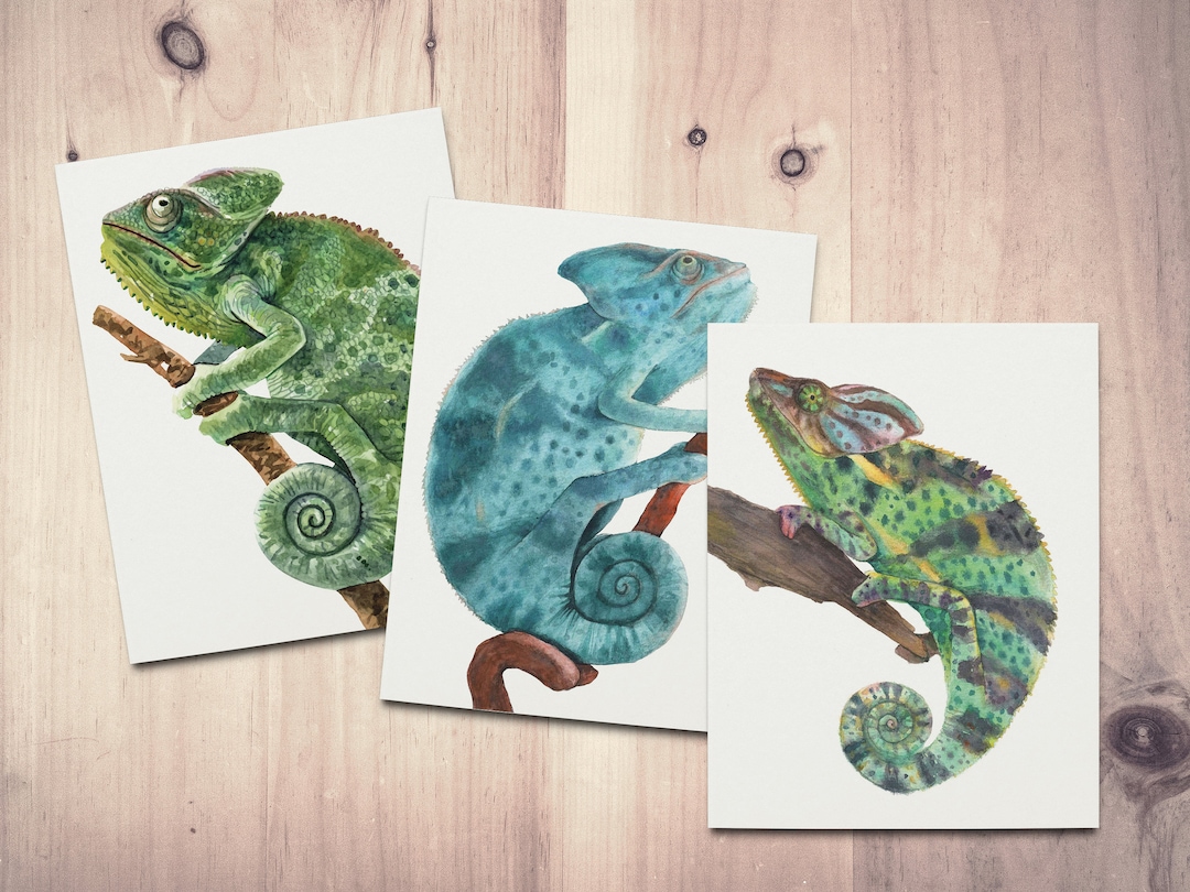 Chameleon Mix Note Card Set~blank Lizard 3 Card Set~recycled Cards ...