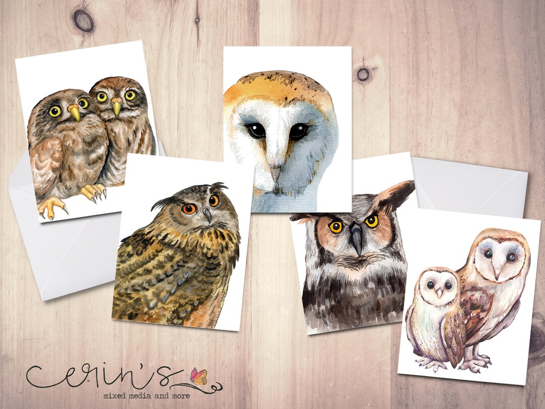 Owl Note Card Set~owl Mixed Card Set~ Blank Notecards~10 Card Set~100% ...