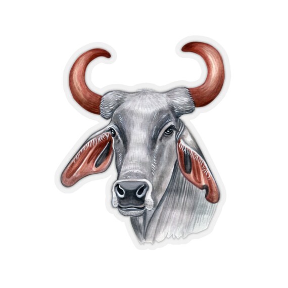 Zebu Stickermixed Media Cebu Decallaptop and Binder - Etsy Australia