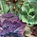 Marbled Paper Flowers Vol.1~realistic Digital Flower Elements ...