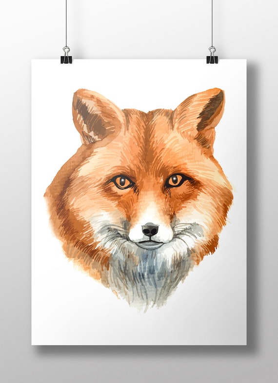 Red Fox Face Drawing