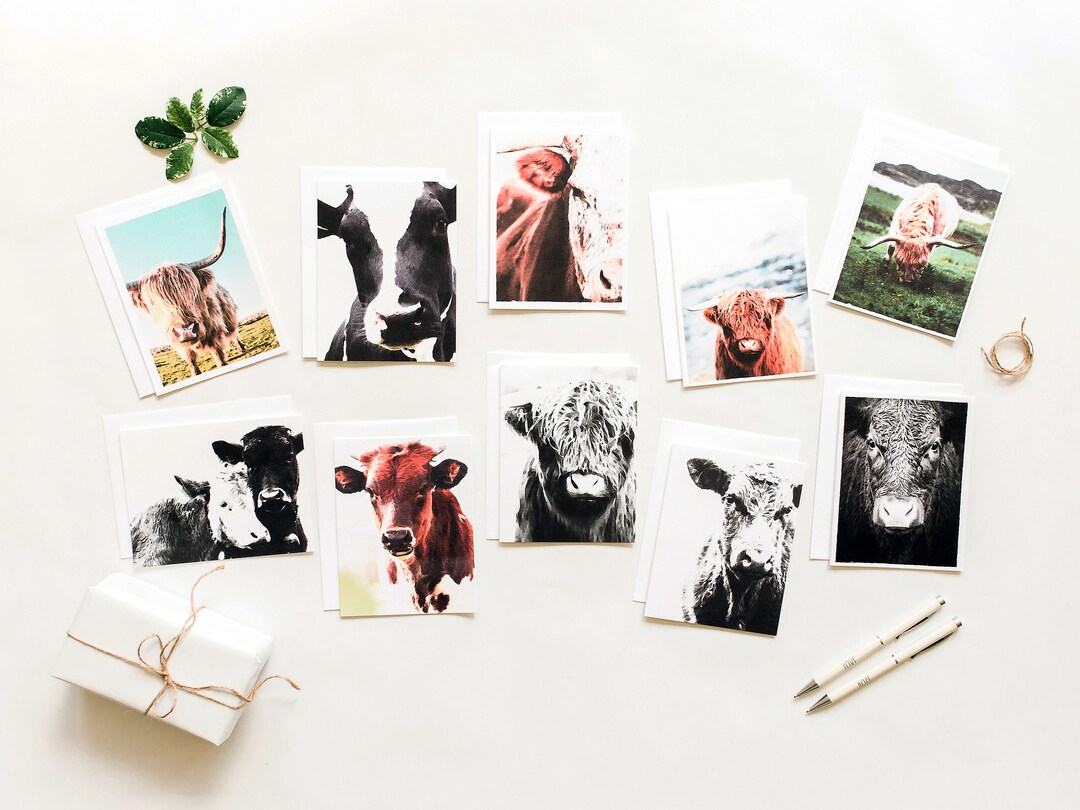 Mixed Cow Notecard Set~large Farmhouse Cow Card Collection~watercolor ...