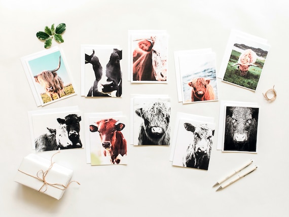 Mixed Cow Notecard Setlarge Farmhouse Cow Card - Etsy