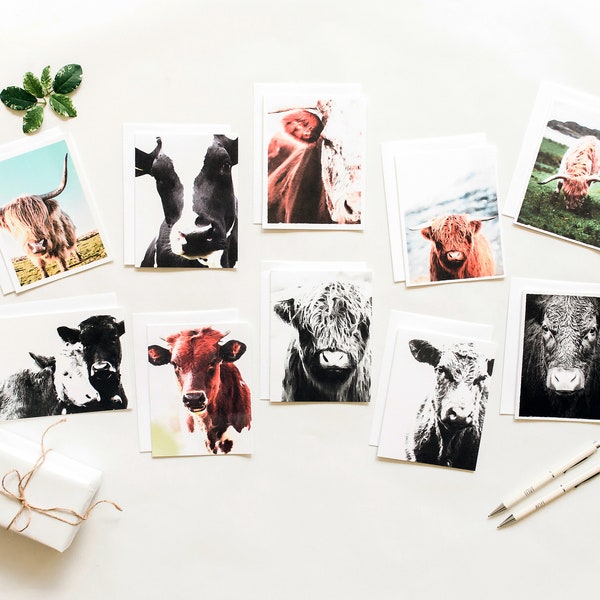 Cow Greeting Card - Etsy