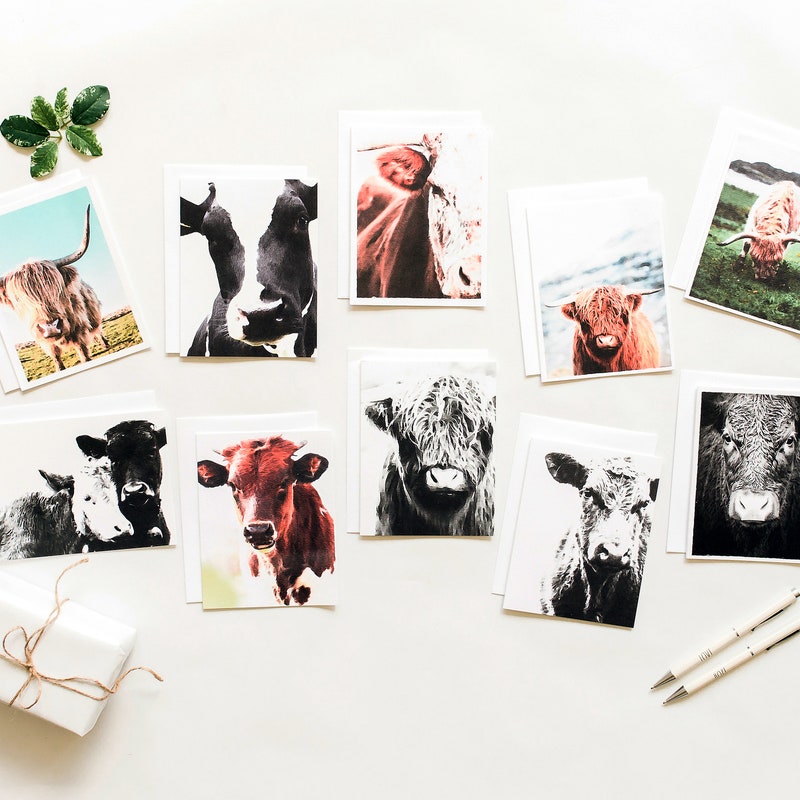 Cow Greeting Card - Etsy