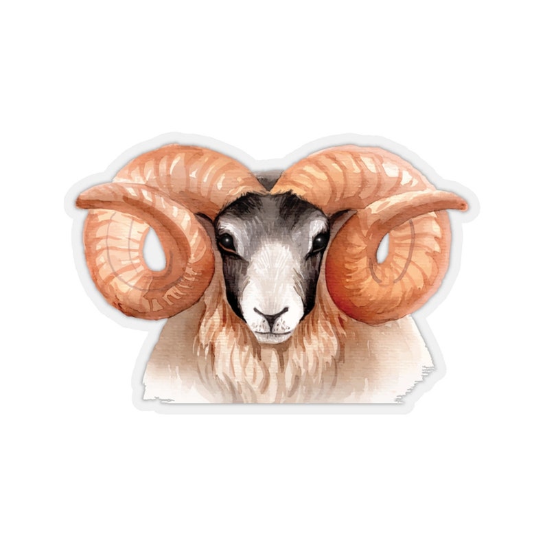 Big Ram Goat Sticker~watercolor Kiss-cut Laptop Decal~clear Back ...