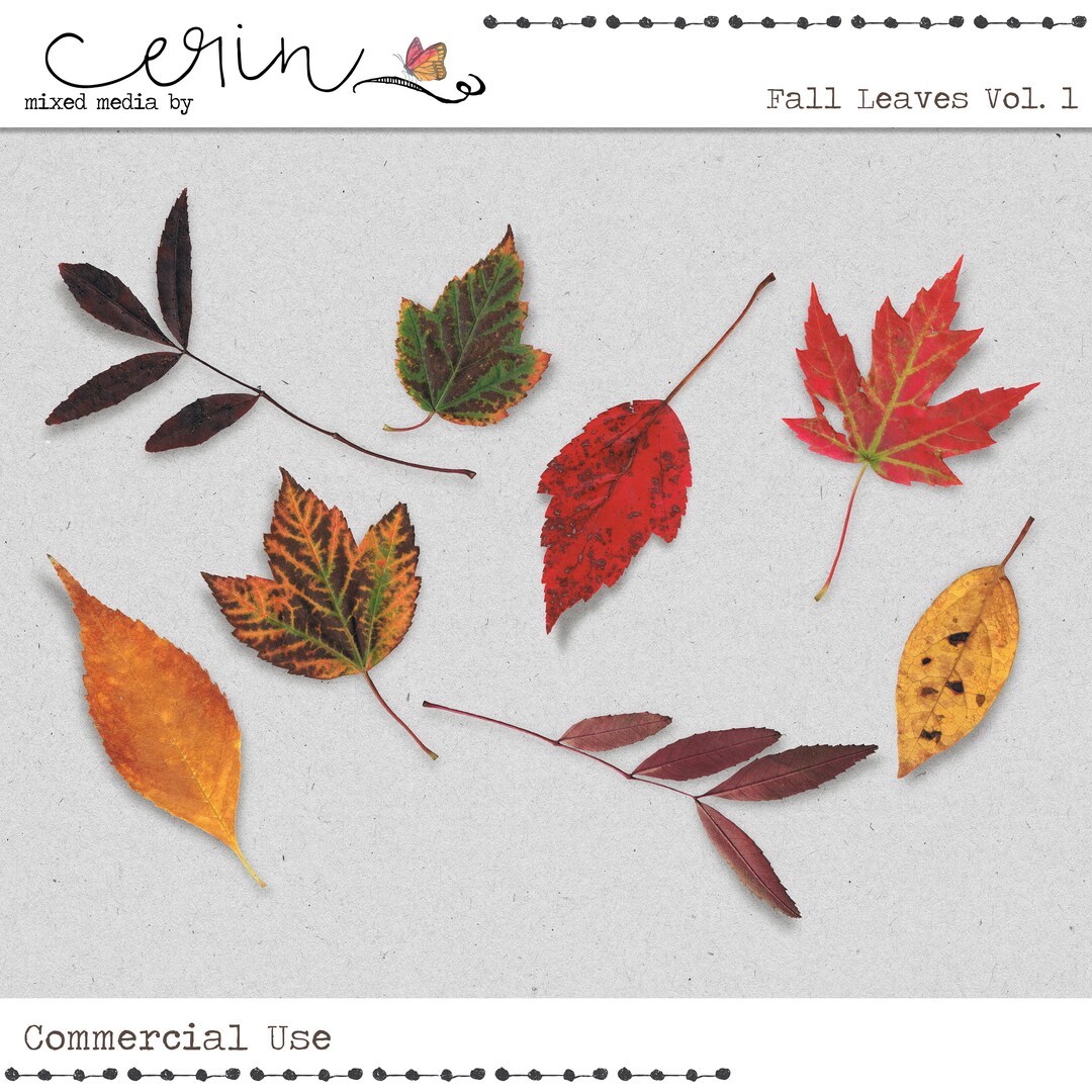 Digital Fall Leaves~autumn Leaves~digital Elements~high Quality ...