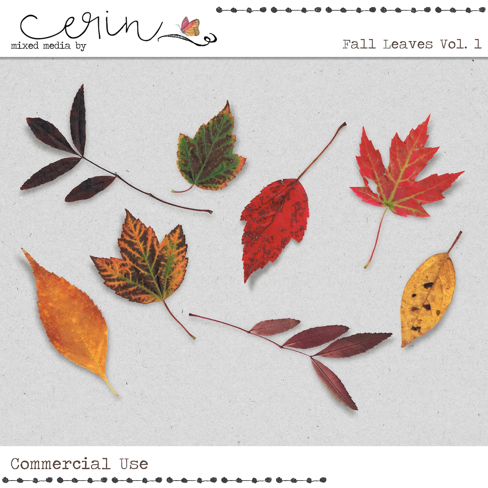 Digital Fall Leaves~autumn Leaves~digital Elements~high Quality ...