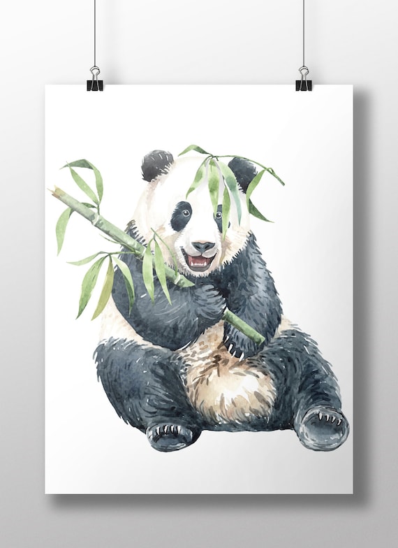 Pandas Eating Drawings