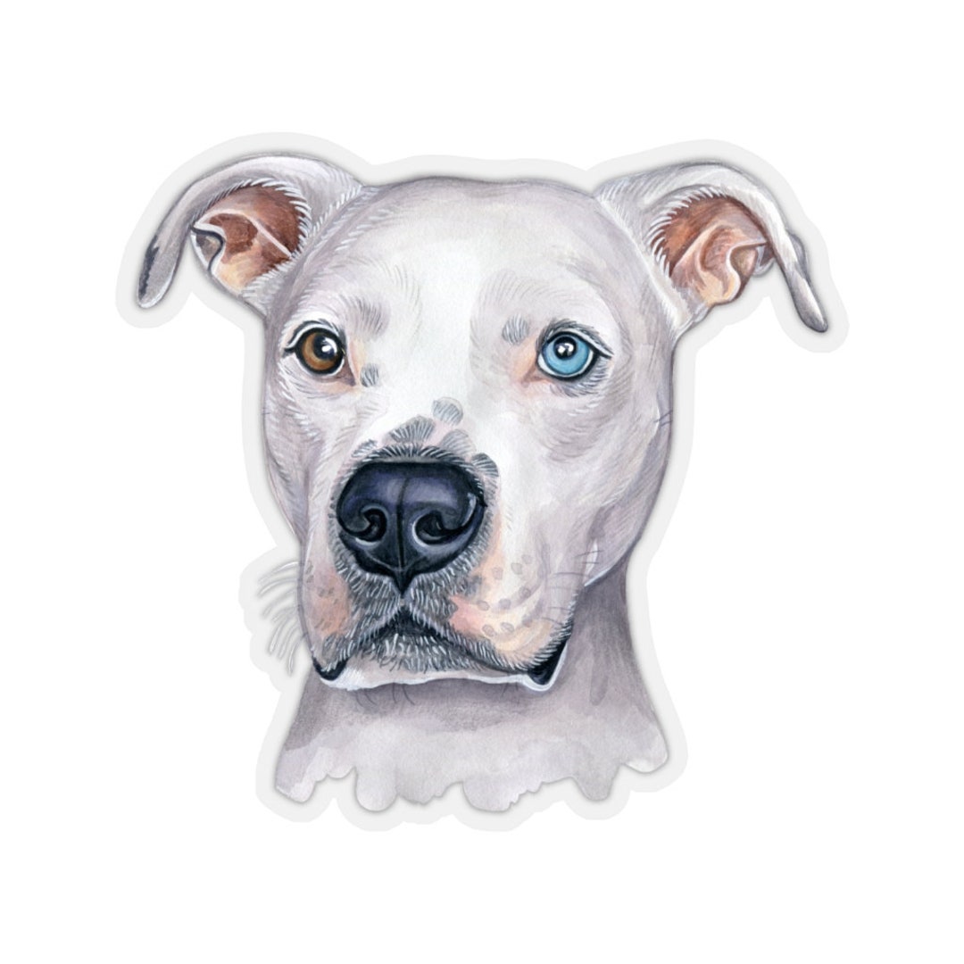 American Pit Bull Sticker~white Bully With Mixed Eyes~hand Drawn Dogs ...